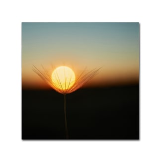 Milan Riha 'Trapped In A Downy Tuft' Canvas Art - Bed Bath & Beyond ...