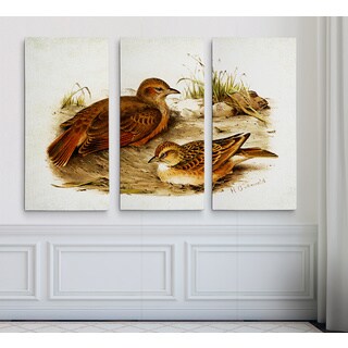 Aviary Drawing I - Bed Bath & Beyond - 17063629