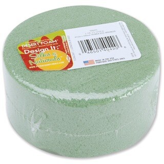Desert Foam Dry Foam Disc - Bed Bath & Beyond - 17078549