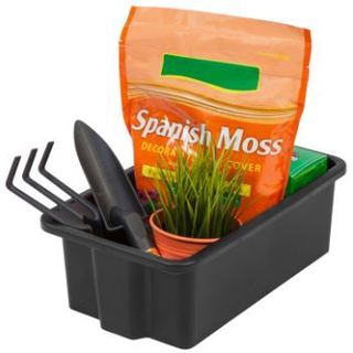 Iris Black Small Trunk Trays (Set of 12) - Bed Bath & Beyond - 17097299