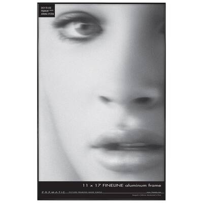 Fineline Black Metal and Glass Picture or Document Frame - Overstock ...