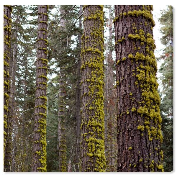 Oliver Gal 'Trees Squared' Canvas Art - Bed Bath & Beyond - 17211490
