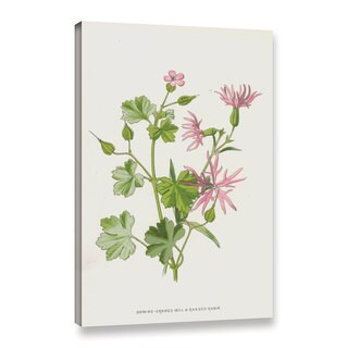 Frederick Edward Hulme 'Shining Cranes Bill and Ragged Robin' Gallery ...