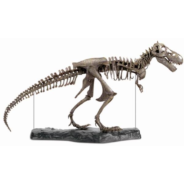 Discovery 60-Piece T-Rex 3-D Skeleton Puzzle - Bed Bath & Beyond - 17716889