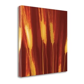 Harvest By Ethan Jantzer, Gallery Wrap Canvas - Bed Bath & Beyond ...