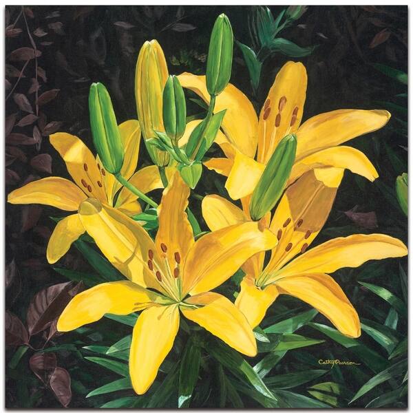 Cathy Pearson 'Yellow Lilies' 22in x 22in Traditional Wall Art on Metal ...