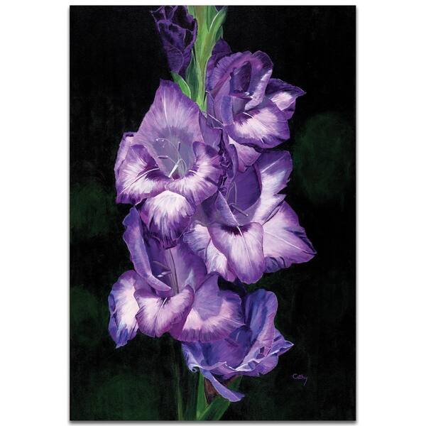 Cathy Pearson 'Deep Purple Glads' 22in x 32in Traditional Wall Art on ...
