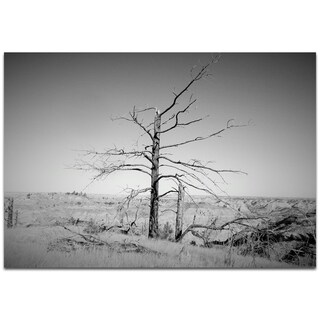 Slade Reiter 'The Survivor' 32in x 22in Western Wall Art on Metal - Bed ...