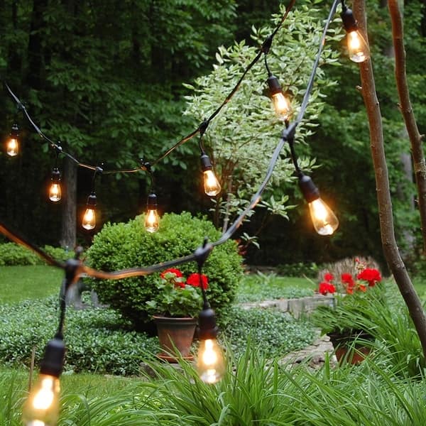 Electric String Lights- Commercial Grade Edison Style (12 Lights) - Bed ...