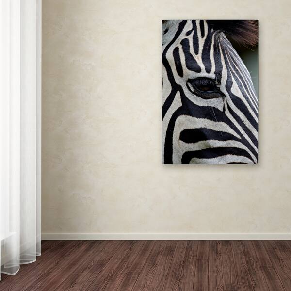 Robert Harding Picture Library 'Zebras' Canvas Art - On Sale - Bed Bath ...
