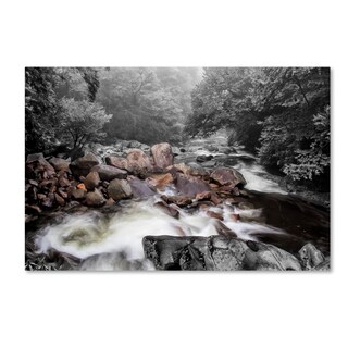 Bob Rouse 'Boulders Bw' Canvas Art - Bed Bath & Beyond - 18048277