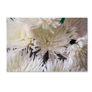 Bob Rouse 'Blooming White' Canvas Art - Bed Bath & Beyond - 18048480