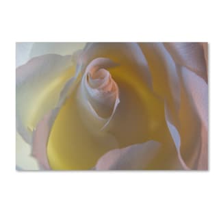 Bob Rouse 'Glow 2' Canvas Art - Bed Bath & Beyond - 18048519
