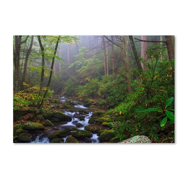 Bob Rouse 'Roaring Fork Fall' Canvas Art - Bed Bath & Beyond - 18048573
