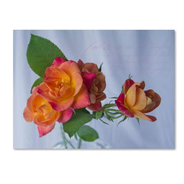 Bob Rouse 'Peachy Rose' Canvas Art - Bed Bath & Beyond - 18048730