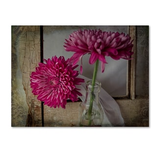 Bob Rouse 'Mums by a Window' Canvas Art - Bed Bath & Beyond - 18048743