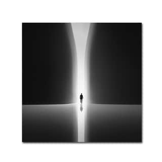 Nadav Jonas 'Rebirth' Canvas Art - Bed Bath & Beyond - 18049898