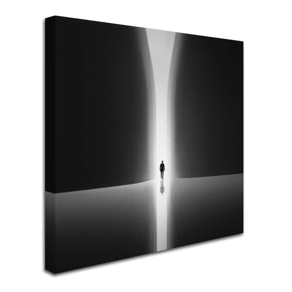 Nadav Jonas 'Rebirth' Canvas Art - Bed Bath & Beyond - 18049898