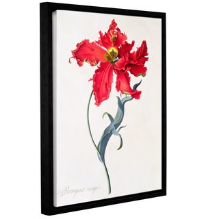 Georg Dionysius Ehret's Tulip Perroquet Rouge, Gallery Wrapped Floater ...