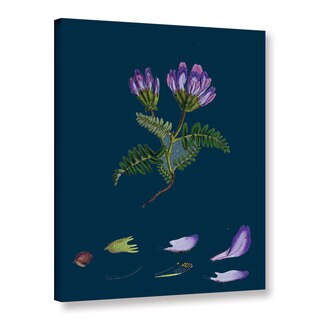 Bridgeman Daphne Mezereum Mezereon, Gallery Wrapped Canvas - Bed Bath ...