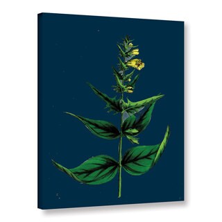 Bridgeman Erect Alpine Speedwell, Gallery Wrapped Canvas - Bed Bath ...