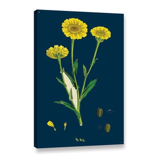 Bridgeman Poa Pratensis, Gallery Wrapped Canvas - Bed Bath & Beyond ...