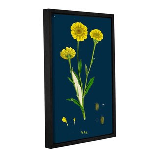 Bridgeman Poa Pratensis, Gallery Wrapped Floater-framed Canvas - Bed ...