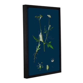 Bridgeman Triodia Decumbens, Gallery Wrapped Floater-framed Canvas ...