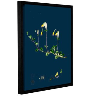 Bridgeman Alpine Timothy Grass, Gallery Wrapped Floater-framed Canvas ...