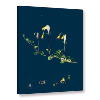 Bridgeman Alpine Timothy Grass, Gallery Wrapped Canvas - Bed Bath ...