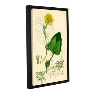 Bridgeman Great Leopards Bane, Gallery Wrapped Floater-framed Canvas ...