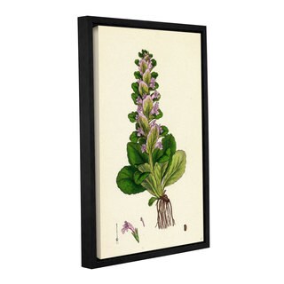 Bridgeman Pyramidal Bugle, Gallery Wrapped Floater-framed Canvas - Bed ...
