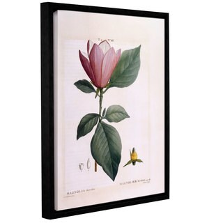 Pierre Joseph Redoute's Magnolia Magnolia discolour, Gallery Wrapped ...
