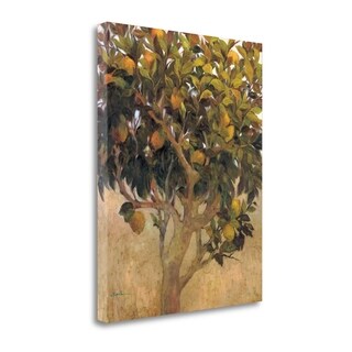 Limonero By J. Ripoll, Gallery Wrap Canvas - Bed Bath & Beyond - 18196538