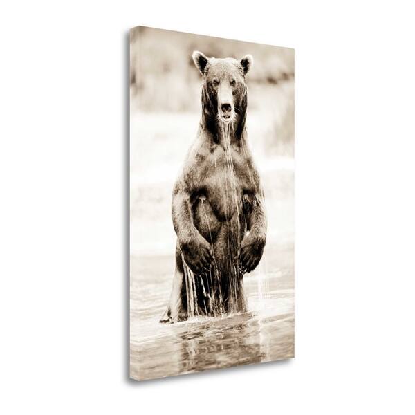 Standing Bear By Gary Crandall, Gallery Wrap Canvas - Bed Bath & Beyond ...