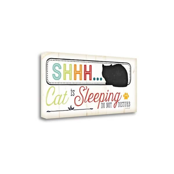 Shhh Cat Is Sleeping - Color By Jennifer Pugh, Gallery Wrap Canvas ...
