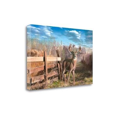 Back Forty Buck By Kevin Daniel, Gallery Wrap Canvas - Overstock - 18204621