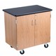 Science Lab Storage Cabinet 24" x 36" - Bed Bath & Beyond - 18218494