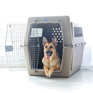 Petmate Ultra Vari Kennel, Bleached Linen, 90-125lbs - Bed Bath ...