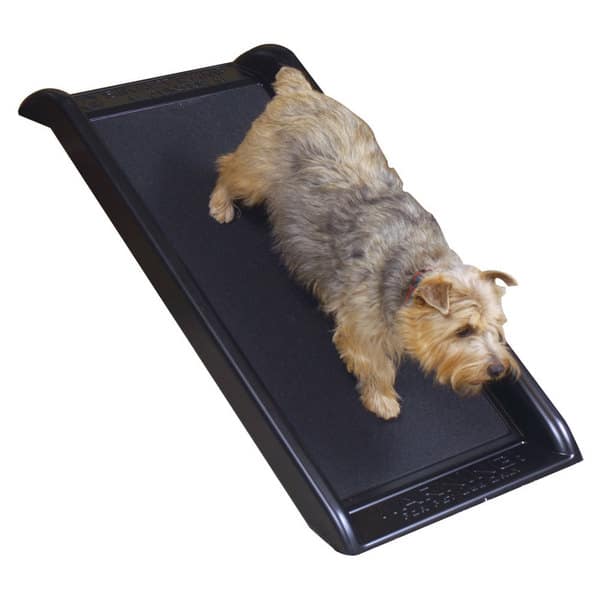 PetSafe Smart Ramp Junior Black Pet and Dog Ramp - Bed Bath & Beyond ...