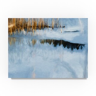 Anthony Paladino 'Reflections In Frozen Pond' Canvas Art - Bed Bath ...