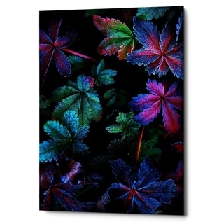 Epic Graffiti "Frosty Fall" by Darren White, Giclee Canvas Wall Art ...
