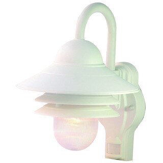 Acclaim Lighting Mariner Collection Wall-Mount 1-Light Outdoor Textured ...