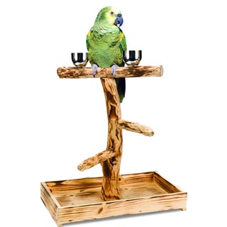 Penn Plax Bird Tree Perch with Stainless Steel Cups for Large Birds (As ...