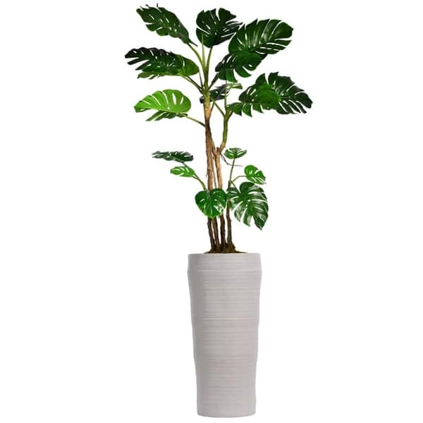 93" Tall Monstera with Burlap Kit and Fiberstone planter - Bed Bath ...