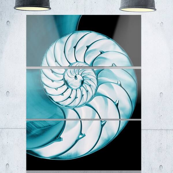 Chambered Nautilus Shell - Abstract Art Glossy Metal Wall Art - Bed ...