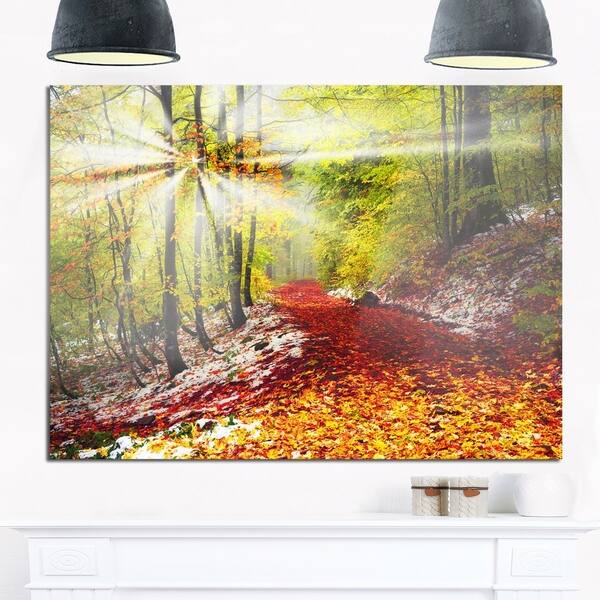 Bright Colorful Alpine Forest - Landscape Photo Glossy Metal Wall Art ...