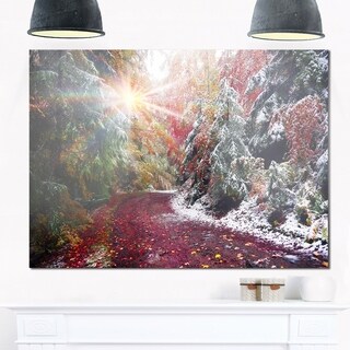 Breathtaking View of Aline Forest - Landscape Photo Glossy Metal Wall ...