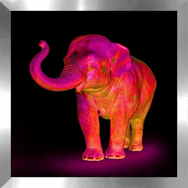 "Neon Elphant 1 " by BY Jodi Framed Print Under Glass - Bed Bath ...