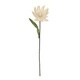 White Sola pith plant fiber Traditional Artificial Flower Stem 27 x 5 x ...